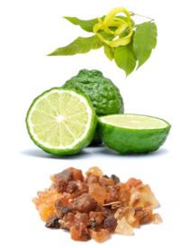 Hope Touch - doTERRA Poweröle