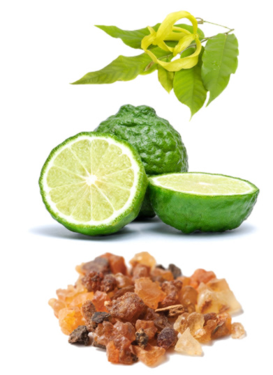 Hope Touch - doTERRA Poweröle